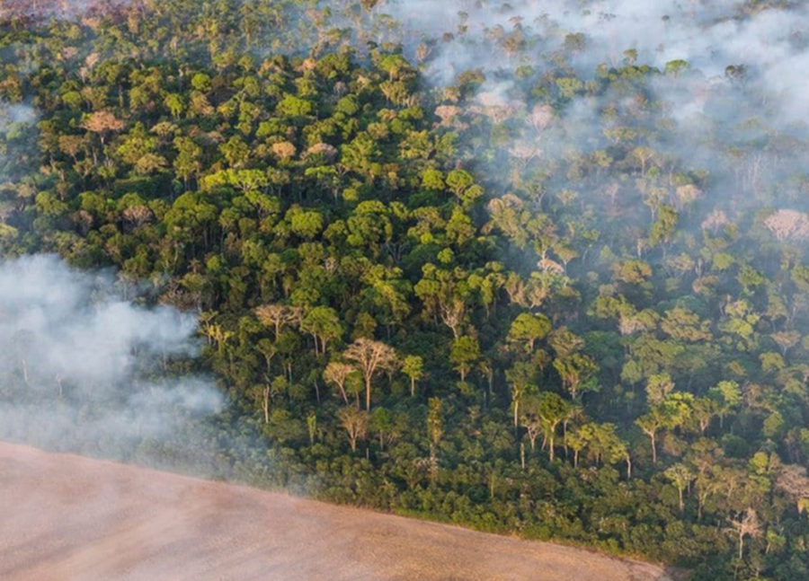 INPE esclarece sobre sistemas de monitoramento - Divisão de Impactos ...